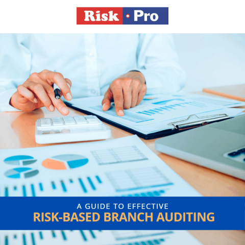 A Guide to Effective Risk-Based Branch Auditing | Riskpro India - Connect with Risk Professionals